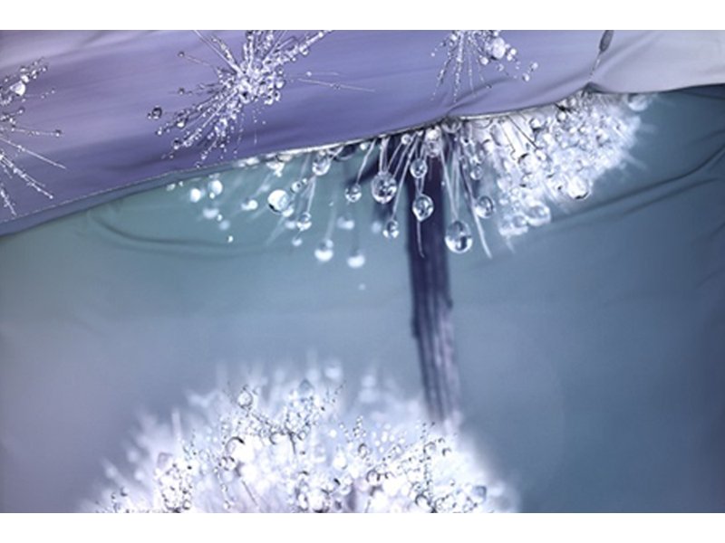 Paardebloem in de dauw dekbedovertrek van ECO katoen-satijn | Slaapkamerweb